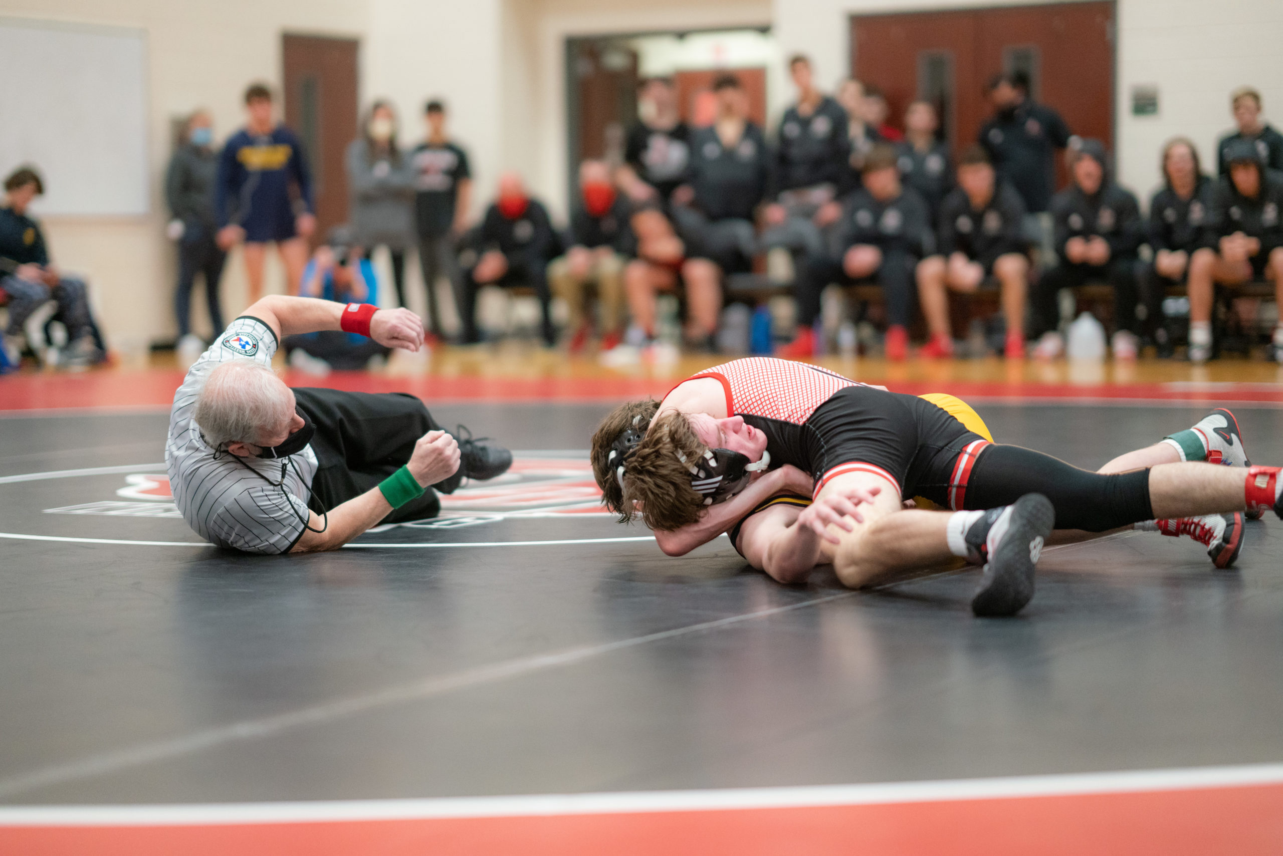 Photographing a Wrestling Match is Not as Easy as it Sounds... - Paula ...